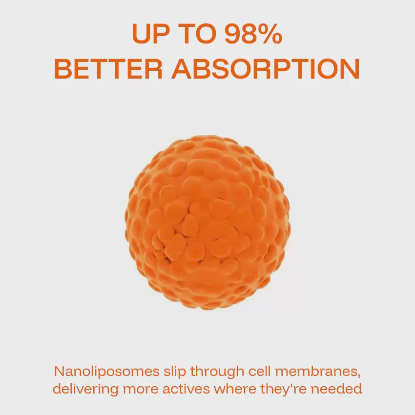 Your Dog Is Christmast – PawPrint Lab